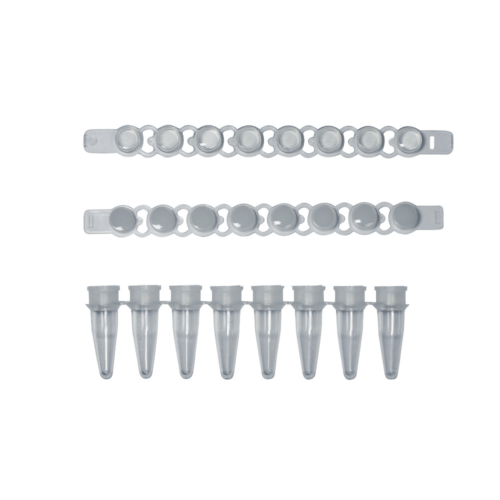 MMI Isolation 8-CapStrip transparent 0.2ml | MMI Webshop